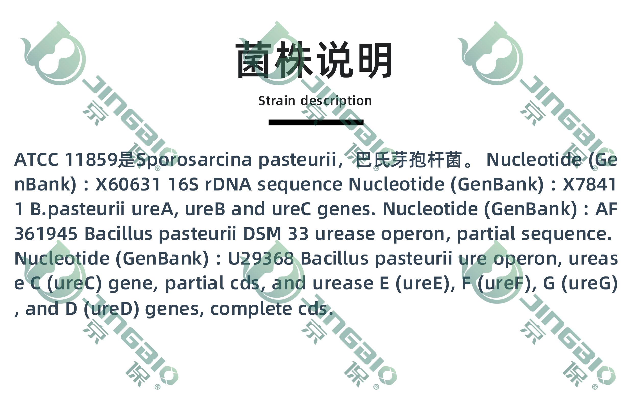 巴氏芽孢杆菌Sporosarcina pasteurii – 北京生物保藏中心|北京保藏生物科技有限公司|BJMCC|菌种中心|标准菌株|ATCC