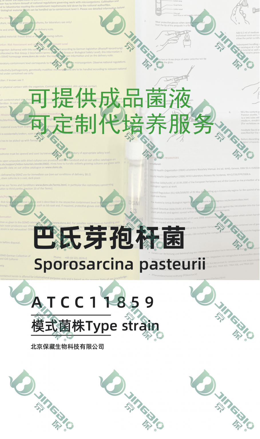 巴氏芽孢杆菌Sporosarcina pasteurii – 北京生物保藏中心|北京保藏生物科技有限公司|BJMCC|菌种中心|标准菌株|ATCC